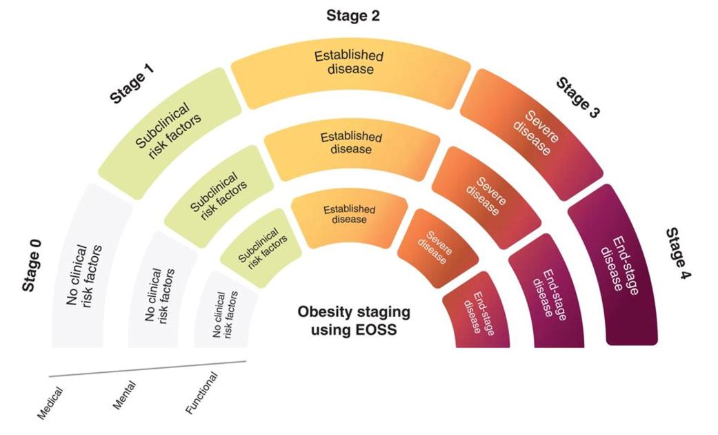 Edmonton Obesity Staging System (EOSS) | Plexus Zorgnetwerk